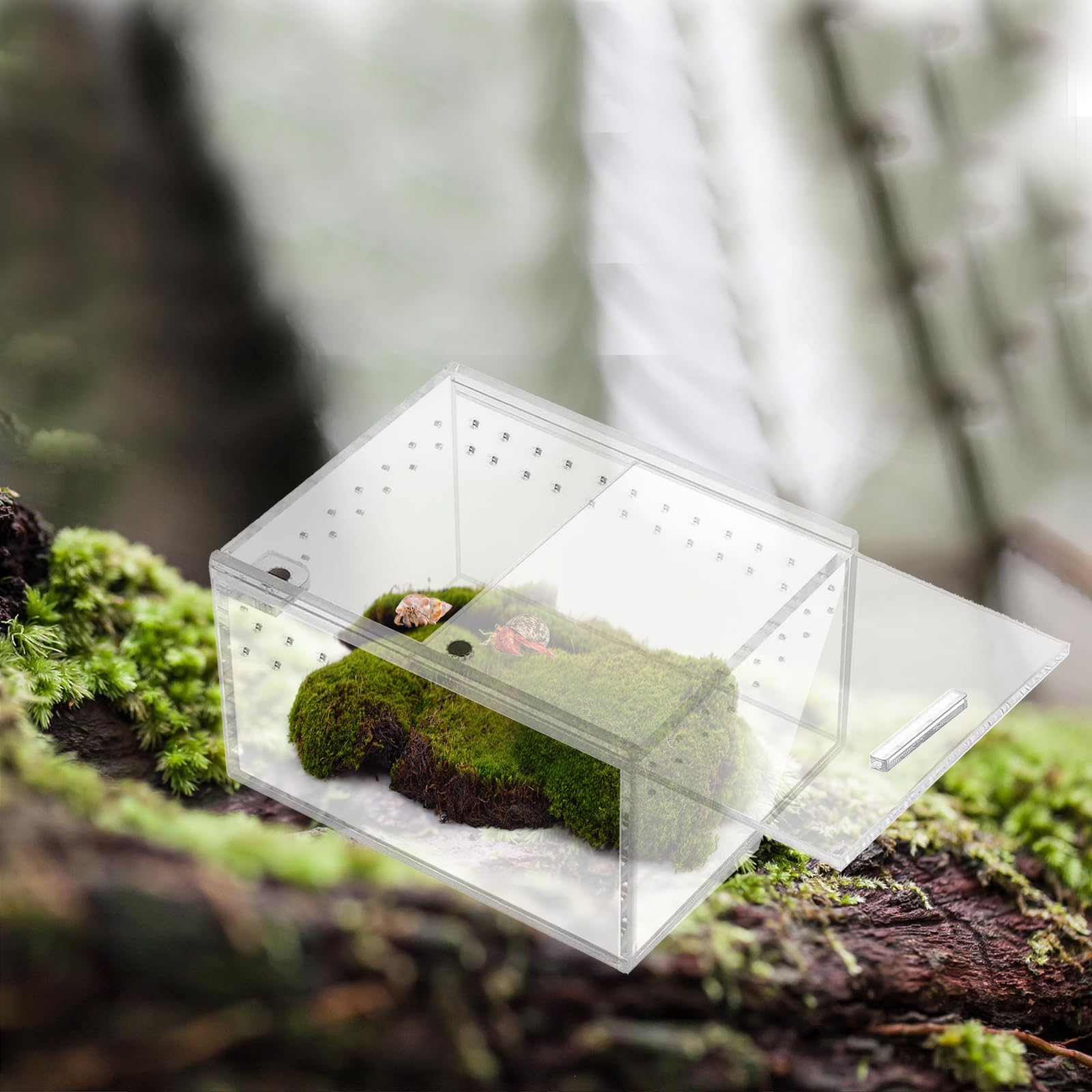 Snapklik.com : Magnetic Acrylic Jumping Spider Enclosure Clear Reptile ...