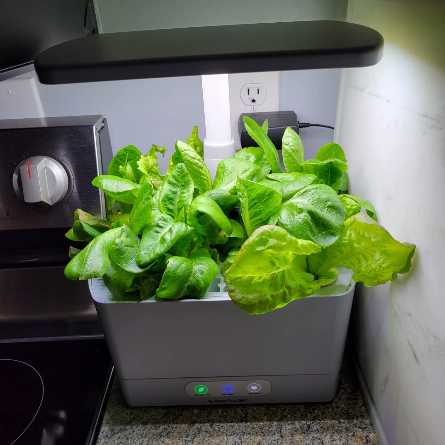 $3/mo - Finance AeroGarden Heirloom Salad Greens Mix Seed Pod Kit ...