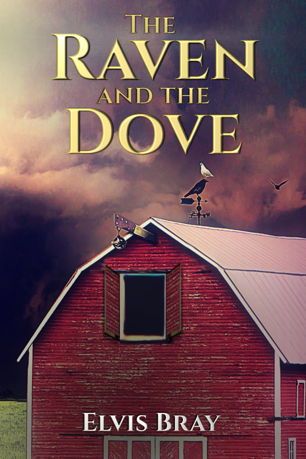 Amazon.com: The Raven and the Dove (Storm Harrison Series ...