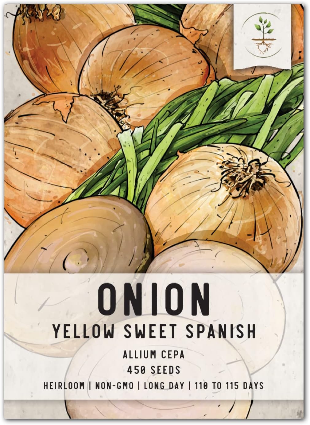 Amazon.com : Seed Needs Onion Seeds for Planting Yellow Sweet Spanish ...