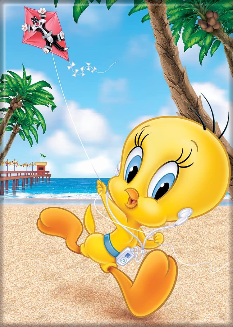 Amazon.com: Ata-Boy Looney Tunes Tweety Bird 2.5" X 3.5" Magnets for ...