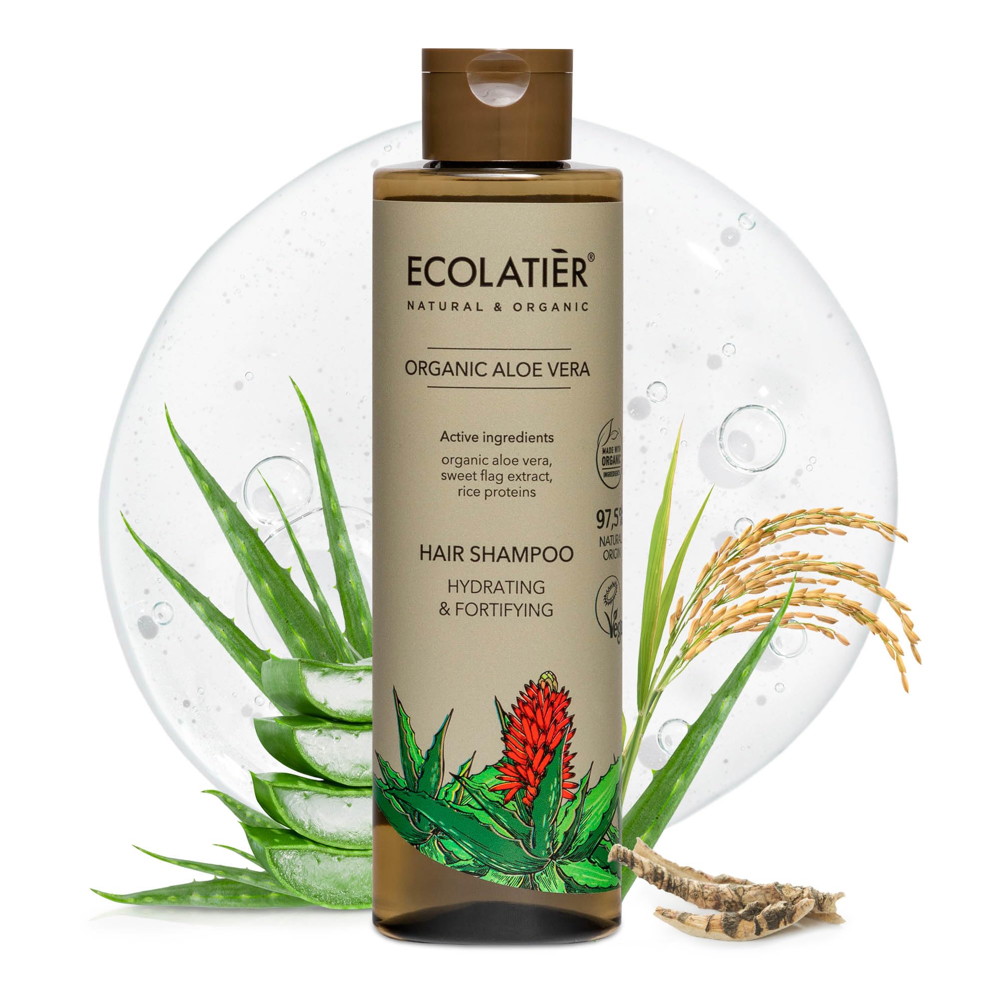 Amazon.com : ECOLATIÈR Natural Shampoo for Women - Hydrating ...