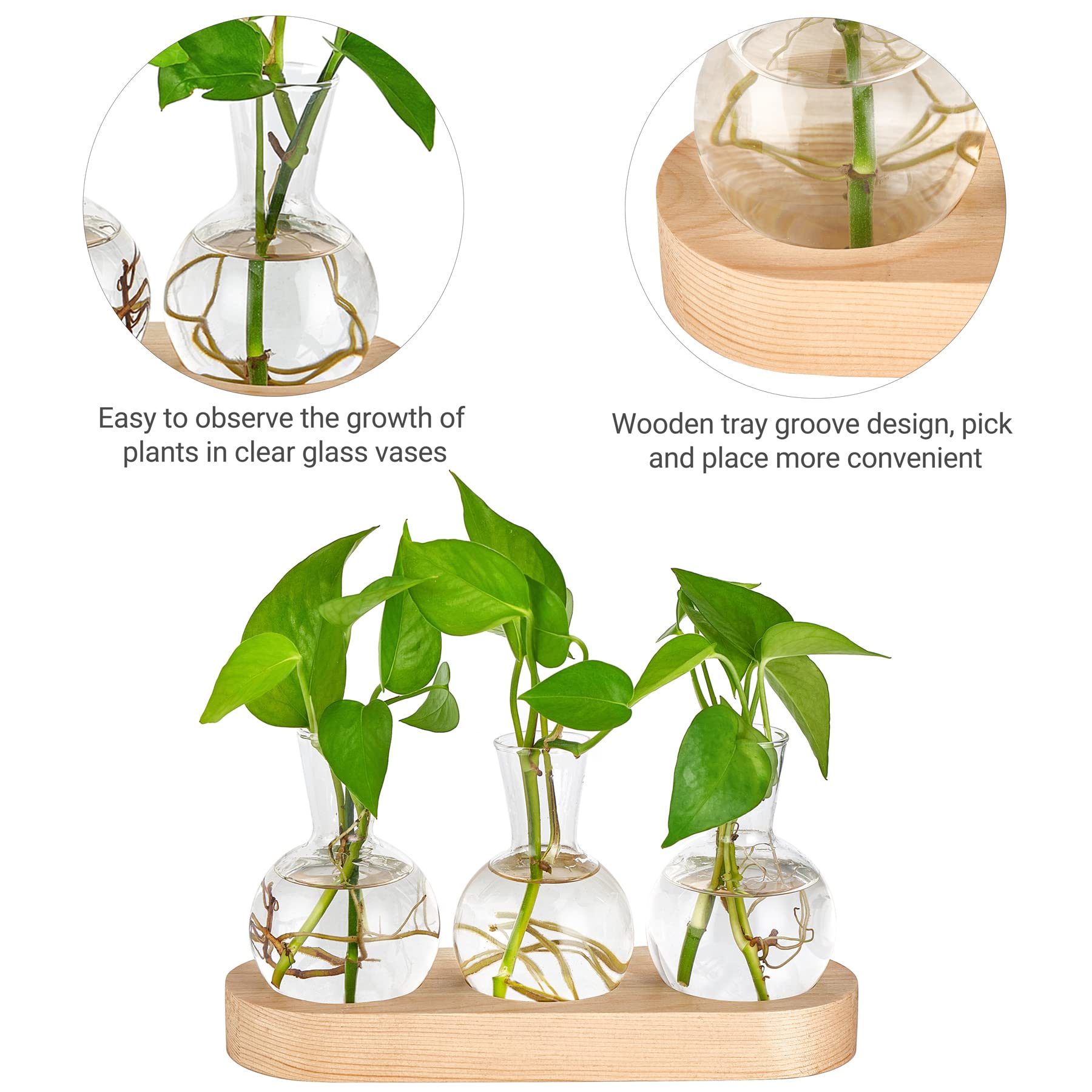 Snapklik.com : Mkono Desktop Plant Propagation Glass Vase Station Retro ...