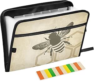 Amazon.com : Retro Bee Honeycomb Expanding File Folders 13 Pocket ...