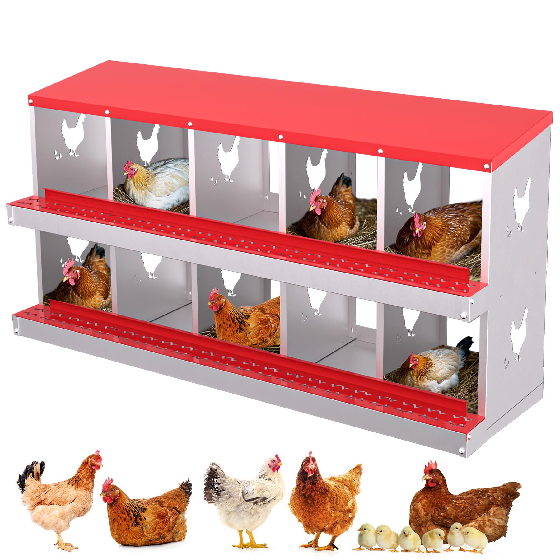Snapklik.com : Chicken Nesting Box, 10 Compartment Metal Chicken ...