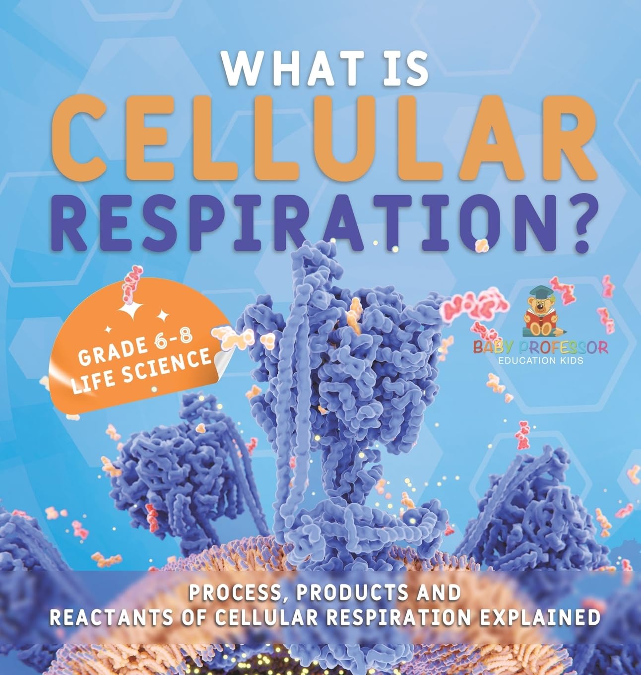 What is Cellular Respiration? Process, Products and Reactants of ...