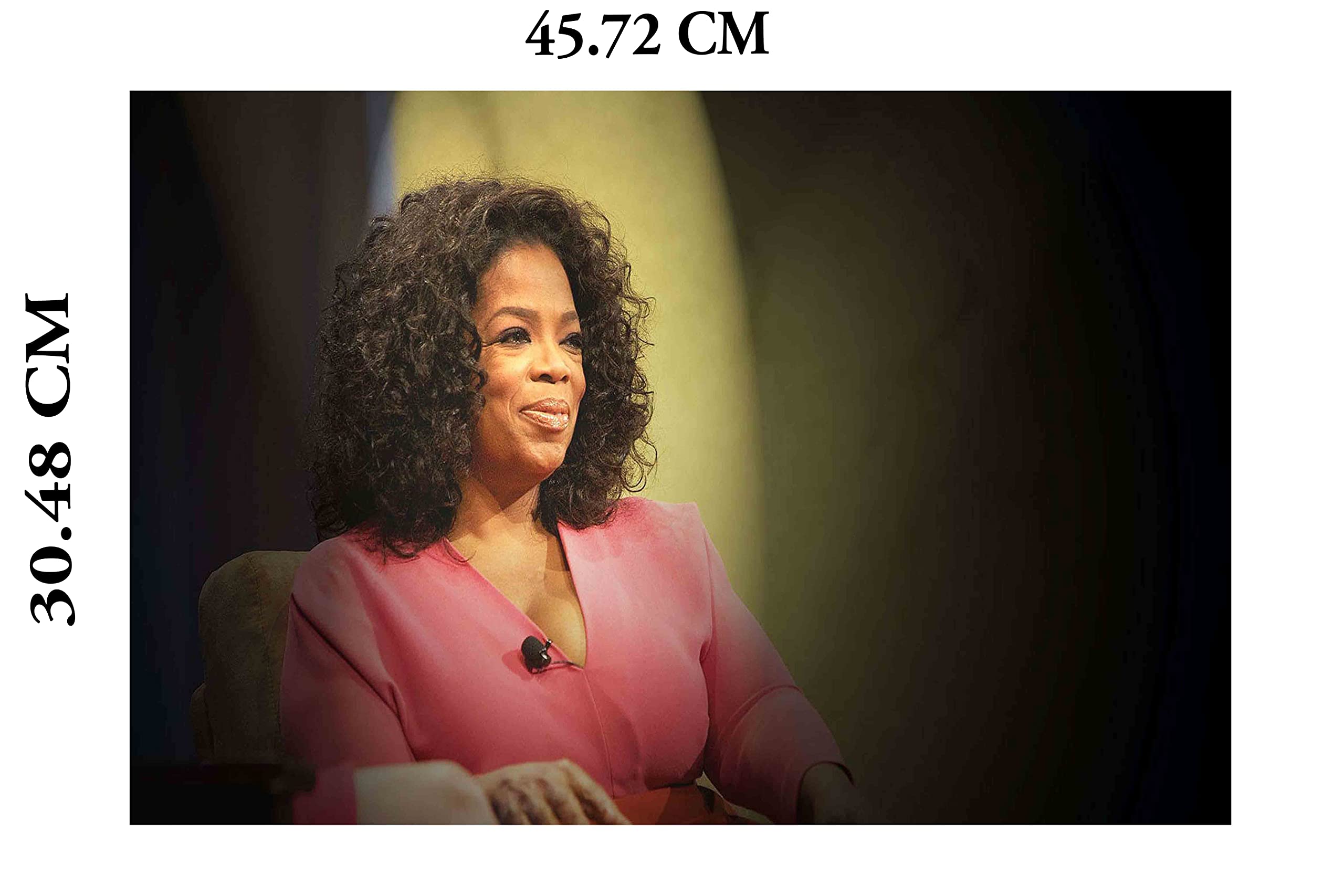 Buy Yellow Alley Celebrity Oprah Winfrey Poster|Television Producer ...