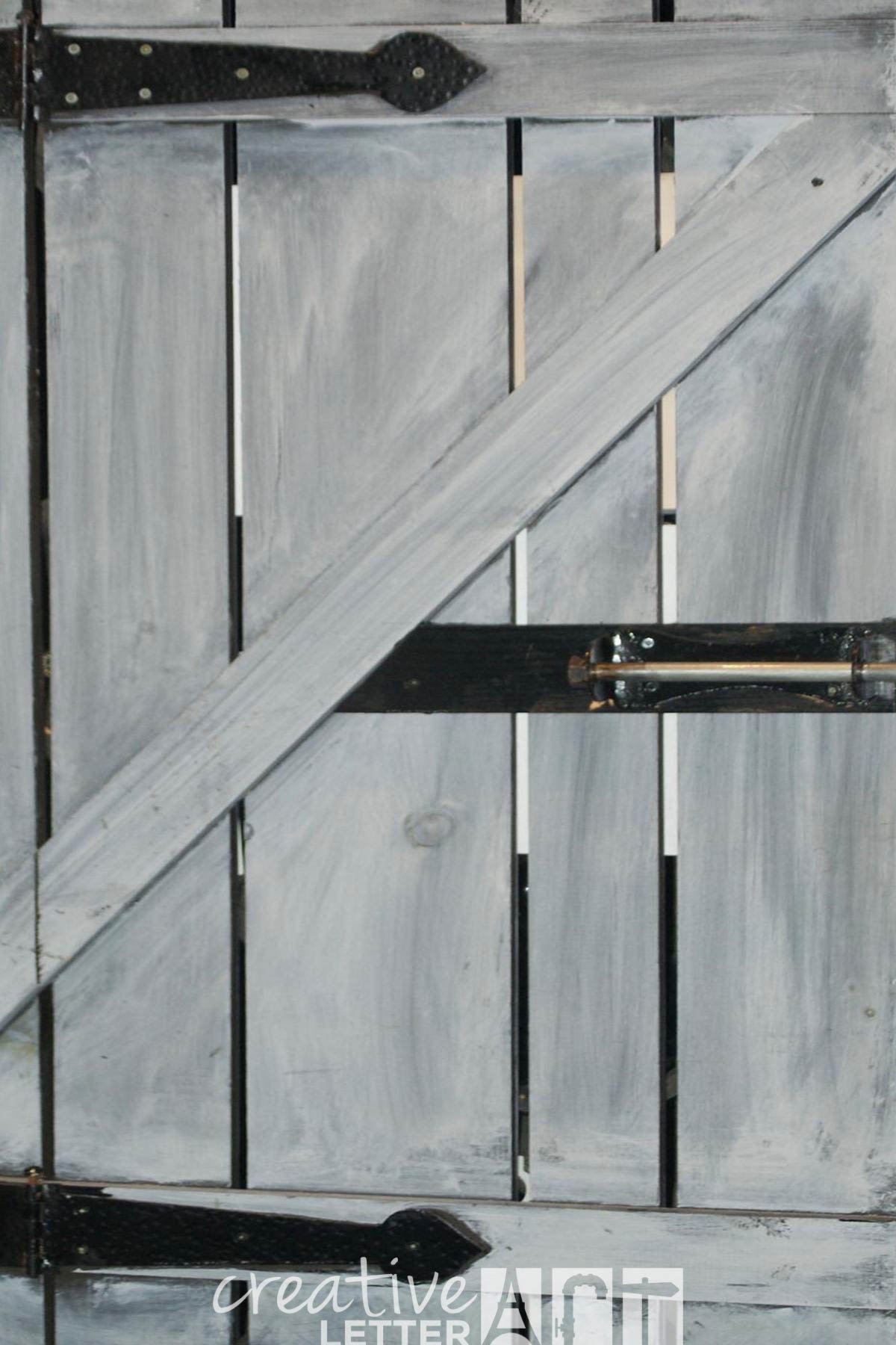 The Letter Z In Nature