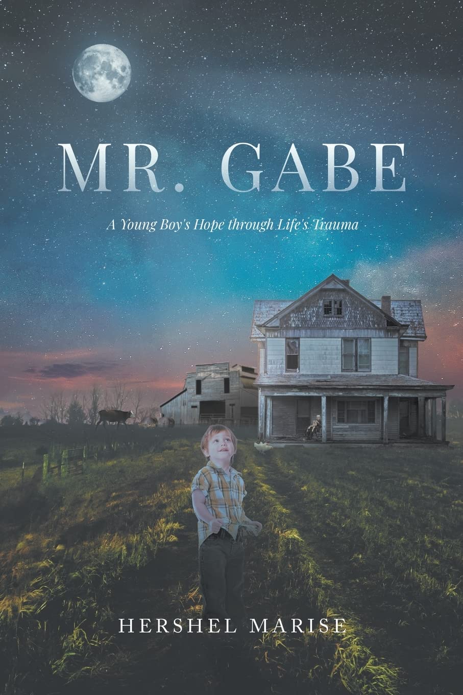 Mr. Gabe: A Young Boy's Hope through Life's Trauma: Marise, Hershel ...