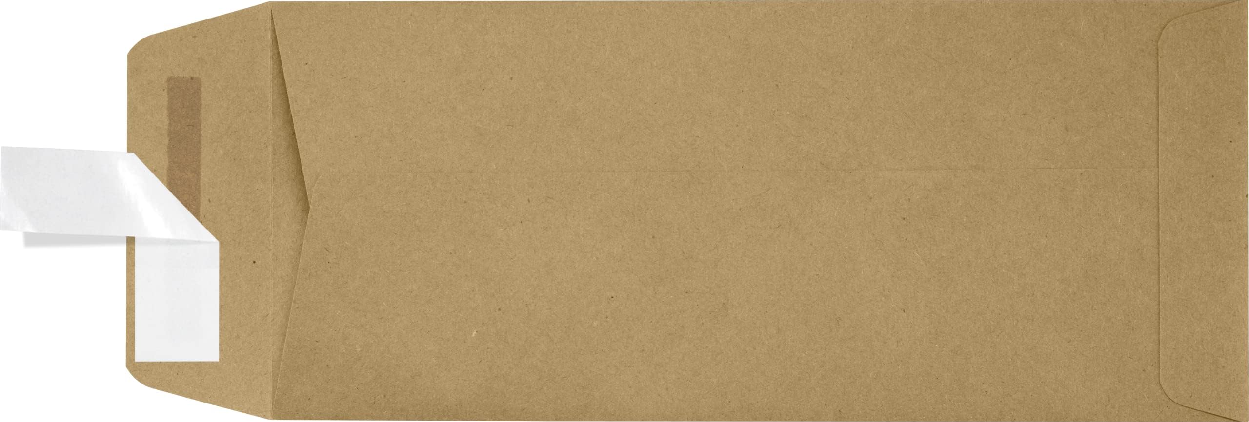 Amazon.com : JAM PAPER #14 Policy Business Commercial Envelopes - 5 x ...