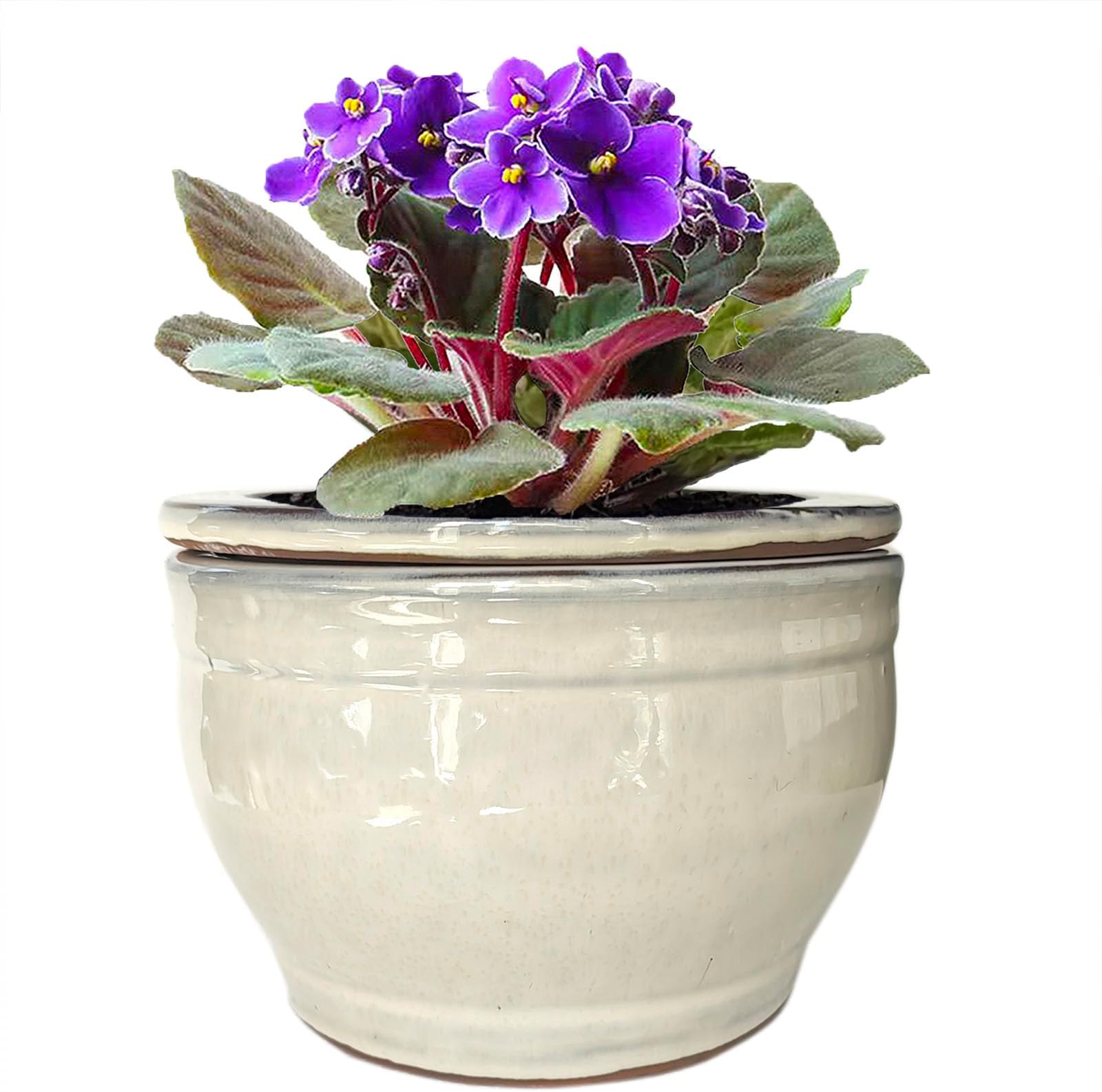 Amazon.com: African Violet Pots Self Watering - 7in White Ceramic ...