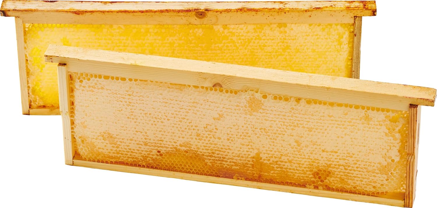 Breitsamer Honigwabe à ca. 1,9 KG im 2er Pack - Gefüllte Honigwaben im ...