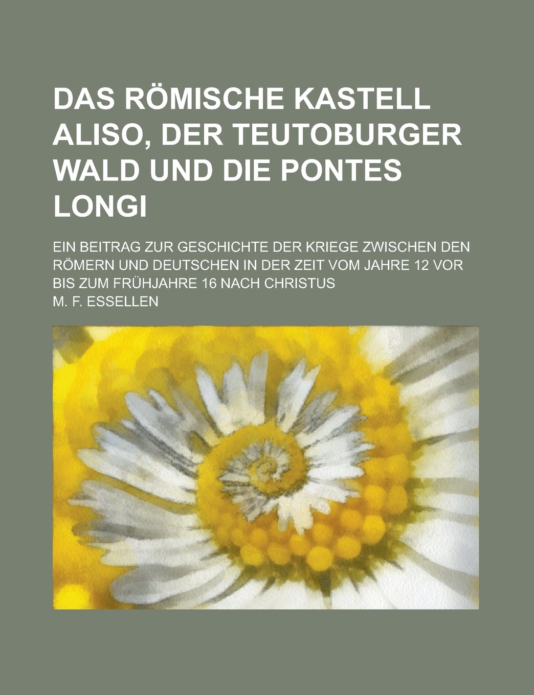 Amazon.co.jp: Das Romische Kastell Aliso, Der Teutoburger Wald Und Die ...