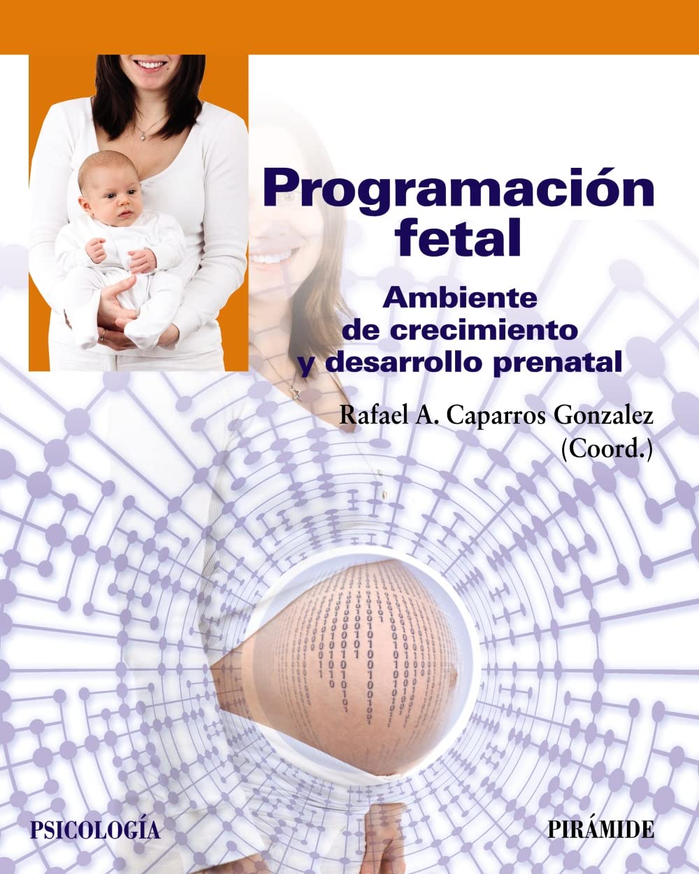 Programación fetal: Ambiente de crecimiento y desarrollo prenatal ...