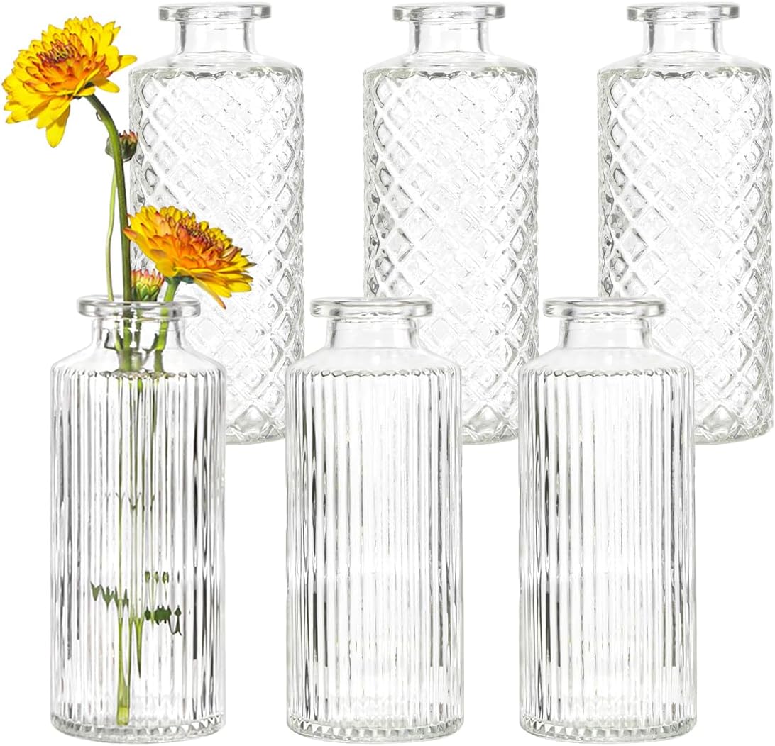 Amazon.com: Tonxus Clear Glass Bud Vase Set, 6pcs Mini Flower Vases for ...
