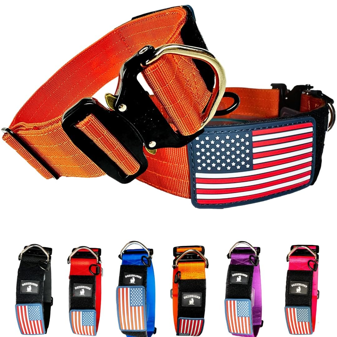 5 Best Collar For Siberian Husky | 2-Inch Wide Collars That Hold