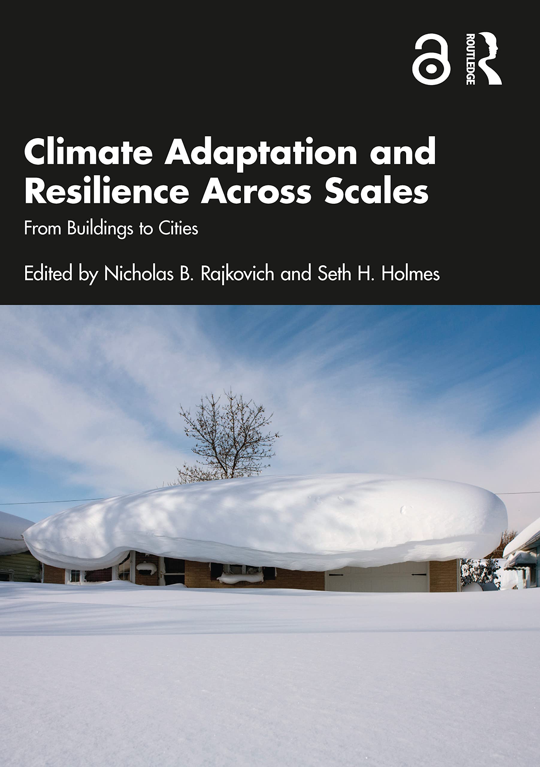 Amazon | Climate Adaptation and Resilience Across Scales: From ...