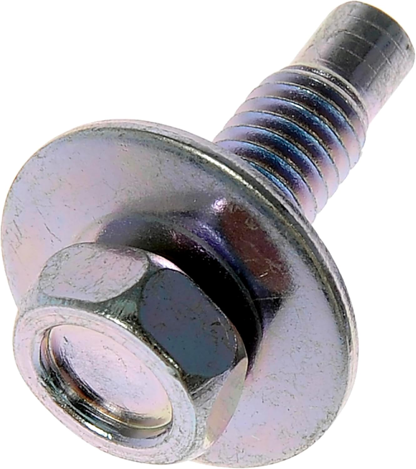 Amazon.com: Dorman 700-785CD Nissan Splash Shield Retainer, 2 Pack ...