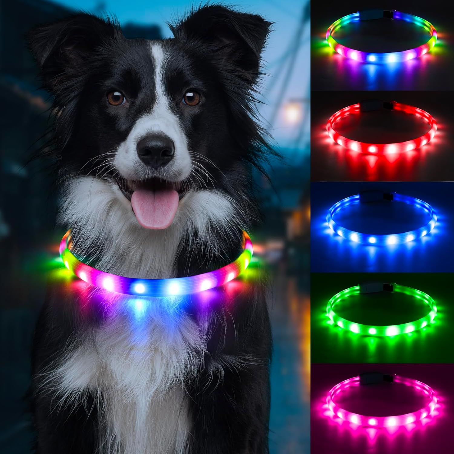 Amazon.com : Flashseen LED Dog Collar, USB Rechargeable Glowing Lighted ...