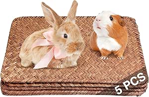 Amazon.com : kathson 5 Pcs Rabbit Grass Mats Woven Bunny Bed Natural ...