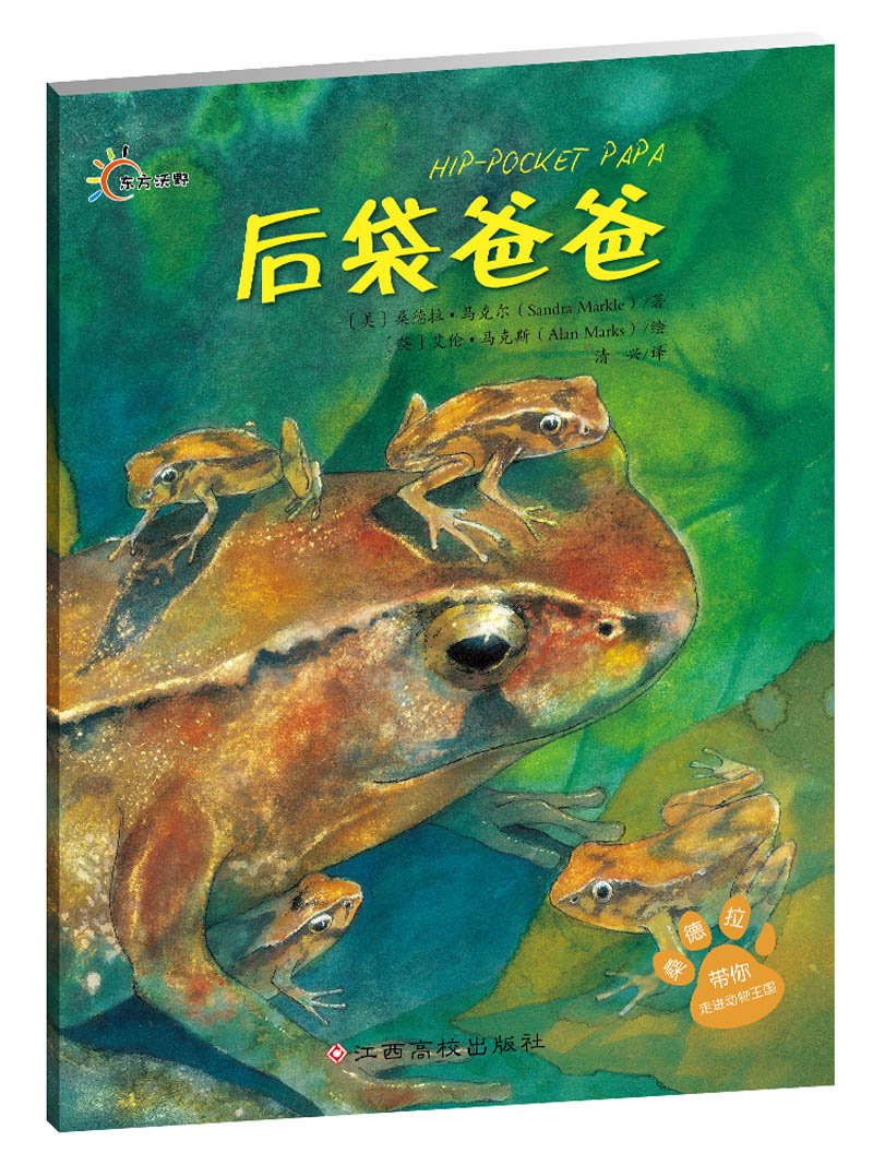 Amazon.com: 桑德拉带你走进动物王国：后袋爸爸: 9787549333684: [美]桑德拉·马克尔（Sandra Markle ...