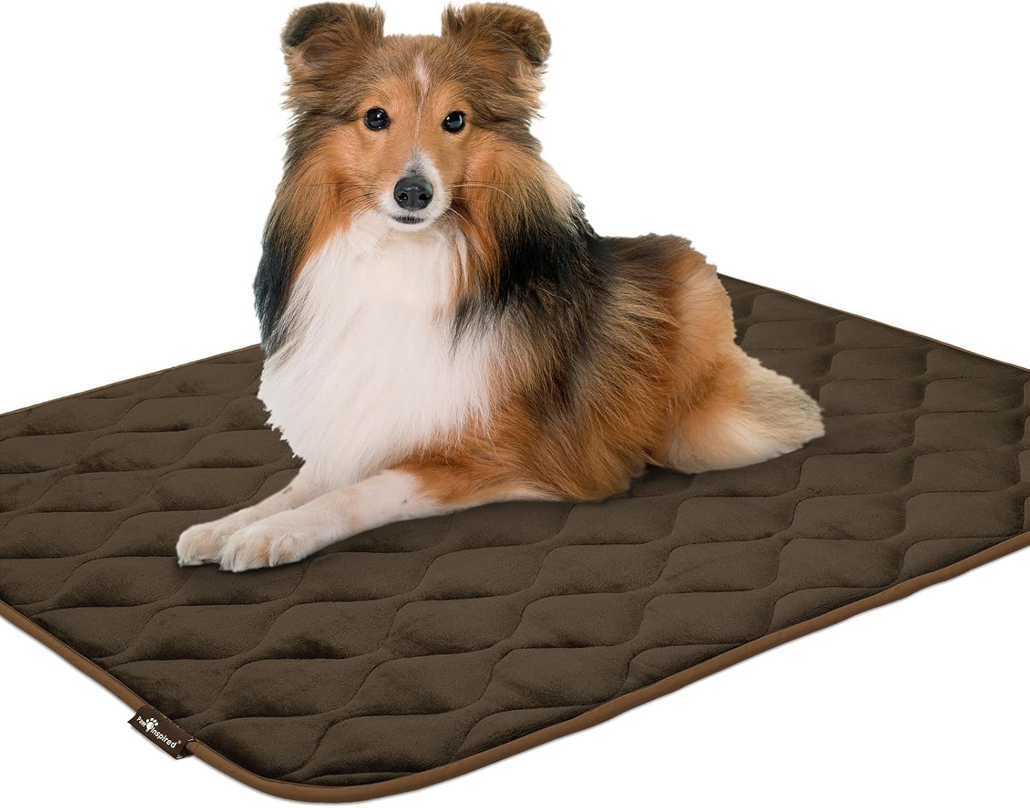 Amazon.com : Paw Inspired Washable Padded Crate Mats for Dogs | 41” x ...