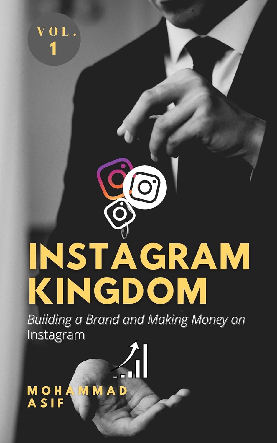 Instagram Kingdom: Building a Brand and Making Money on Instagram ...
