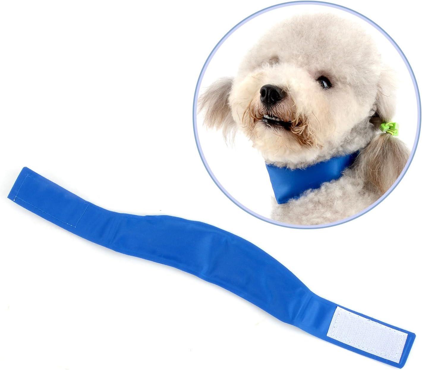 Amazon.com : Ranphy Dog Cooling Collar for Summer,Non-Toxic Gel Ice ...