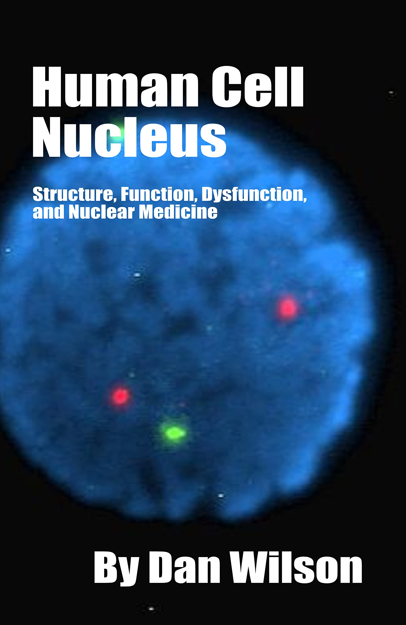Buy Human Cell Nucleus : Structure, Function, Dysfunction, and Nuclear ...