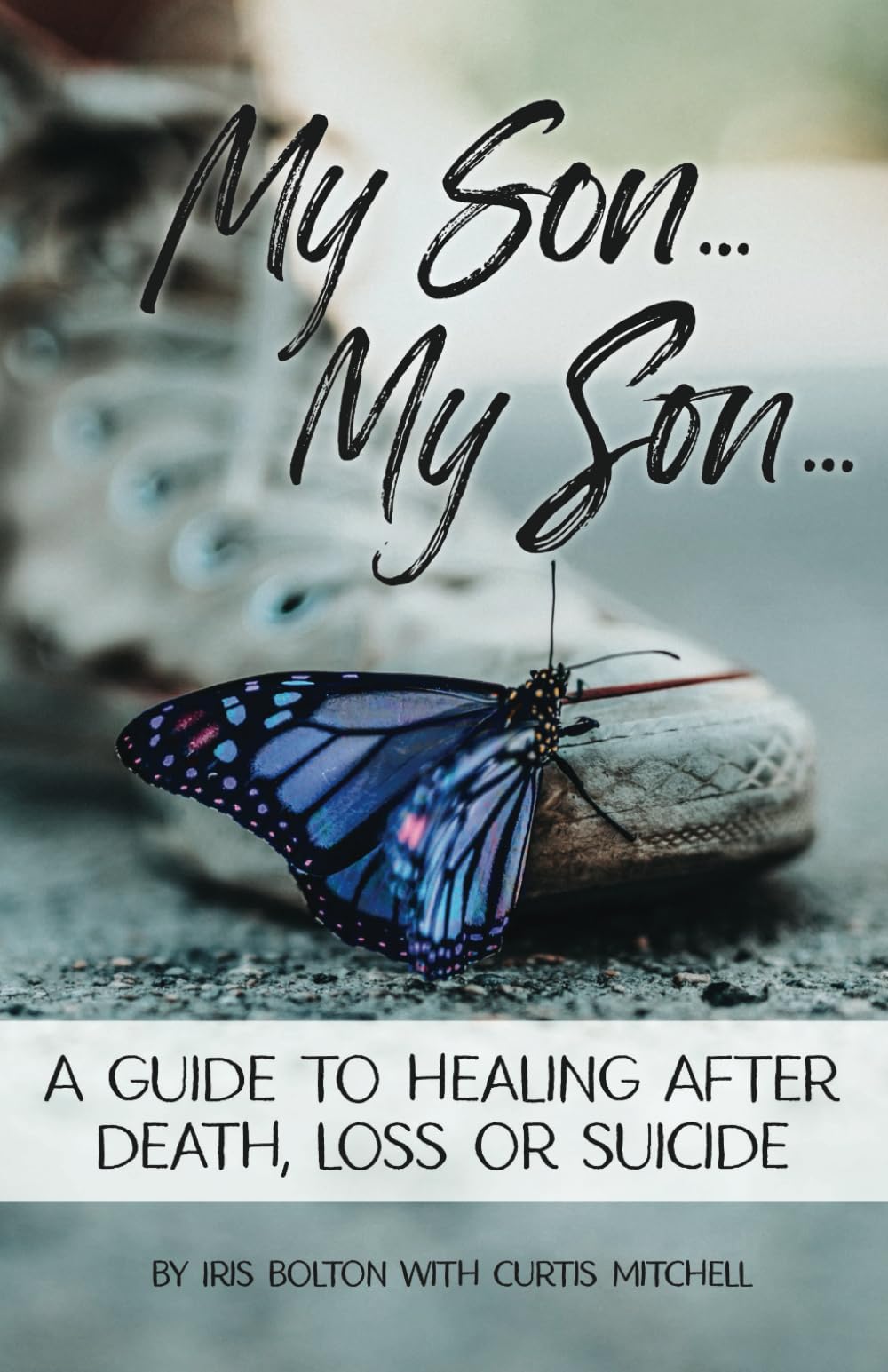 Amazon | My Son...My Son...a Guide to Healing after Death, Loss, or ...