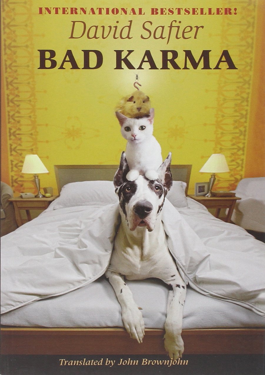 Amazon.com: Bad Karma: 9781906780364: Safier, David: Books