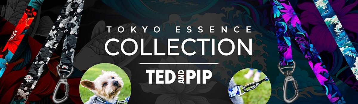 Ted & Pip : Amazon.co.uk: Everything Else