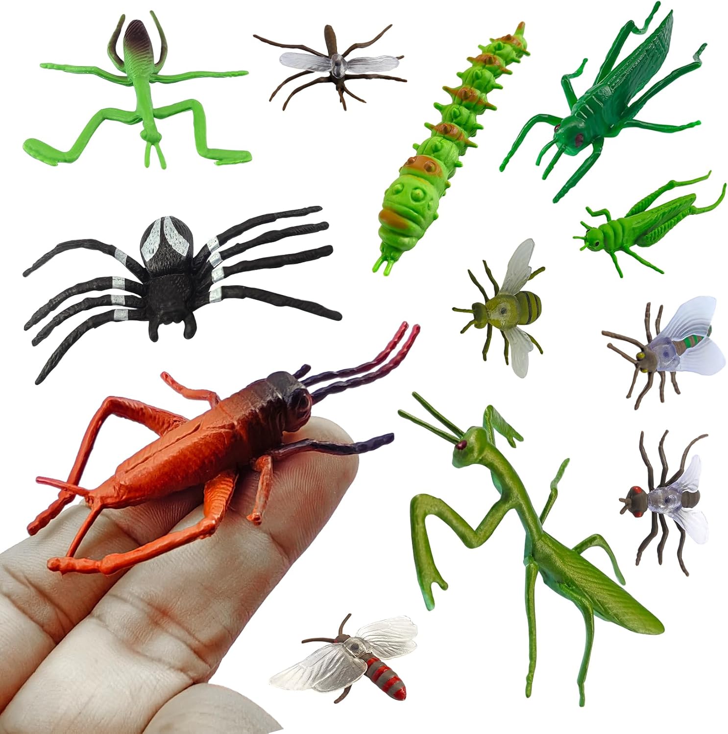 Amazon.com: BEINME 12 Pieces Realistic Plastic Insect Models Mantis ...