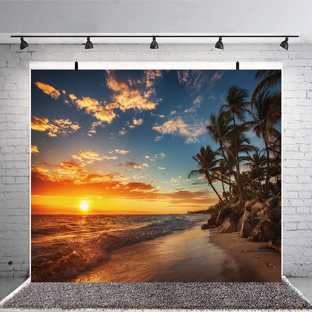 Amazon.com : 5x3Ft Seaside Sunset Backdrops Seaside Palm Tree ...