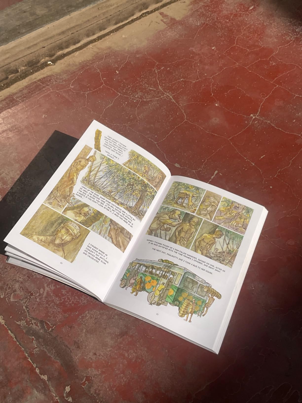 The Pig Flip : Benedict, Joshy, Muralidharan, K.K.: Amazon.in: Books