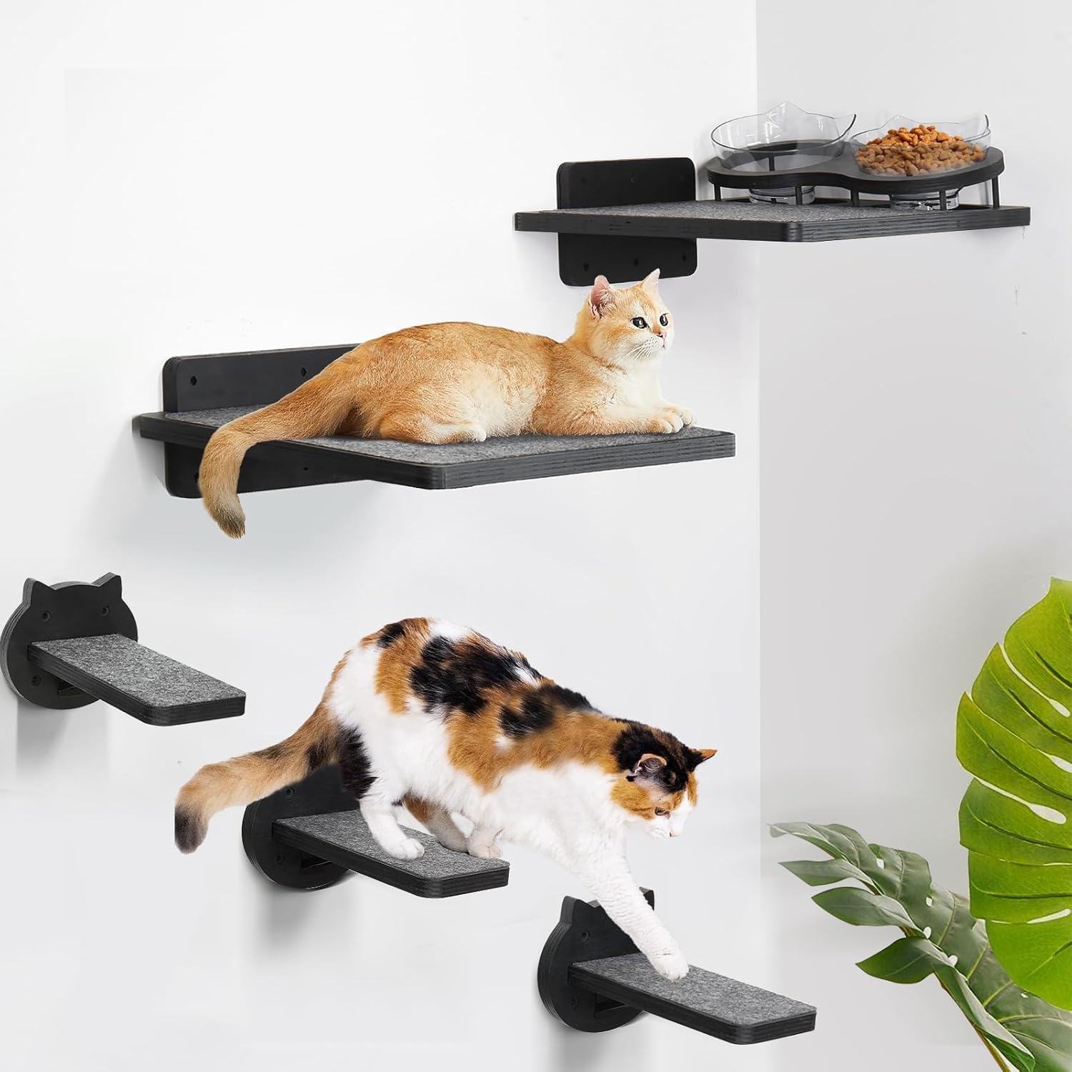 Amazon.com : Cat Wall Shelves, Wood Cat Shelves for Wall with Feeding ...