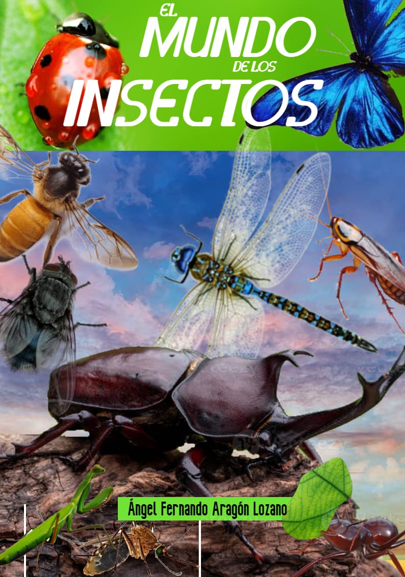 Amazon.com: El mundo de los insectos (Spanish Edition) eBook : Aragon ...