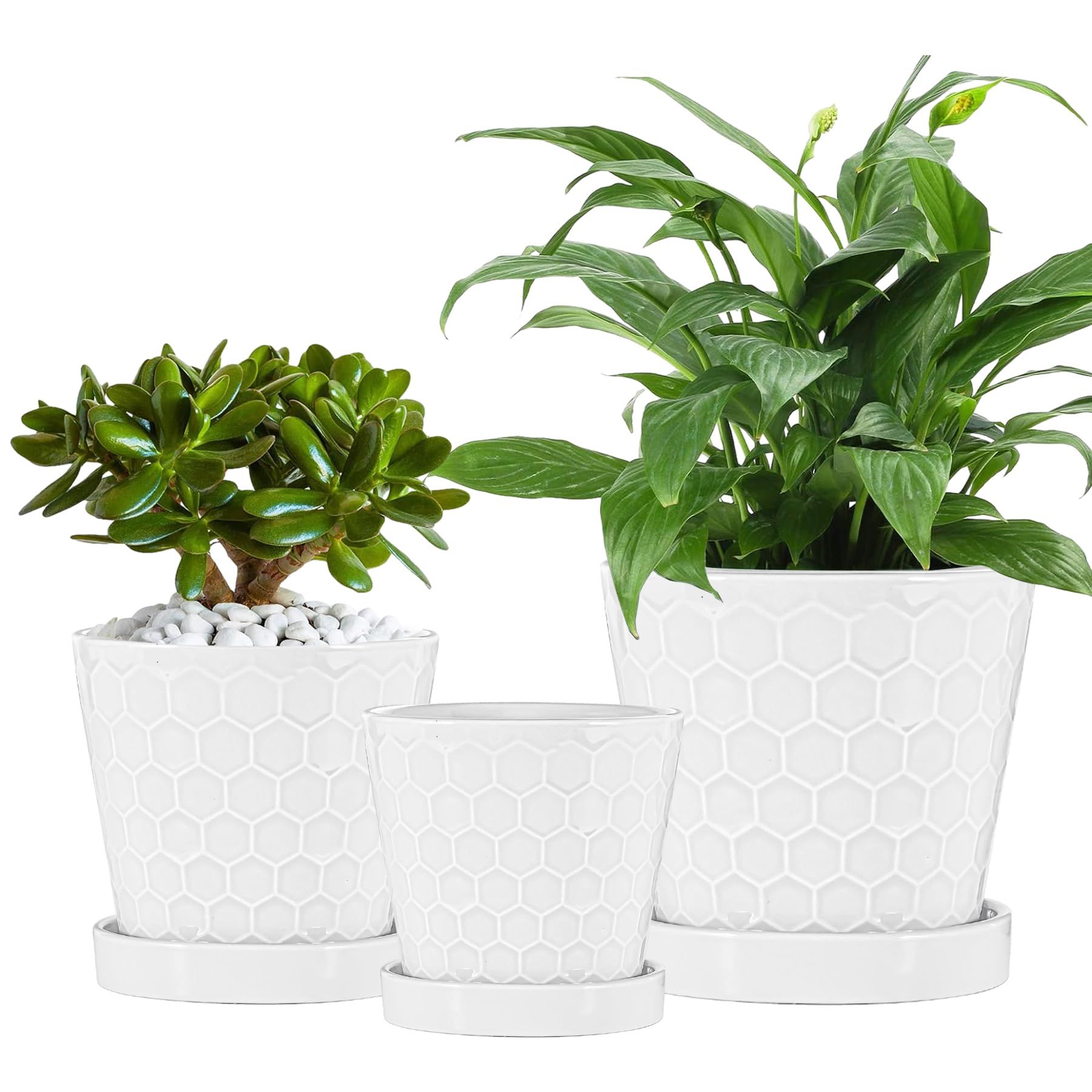 Amazon.com: Ceramic Plant Pots,4+5+6 Inch Pots for Indoor Plants ...