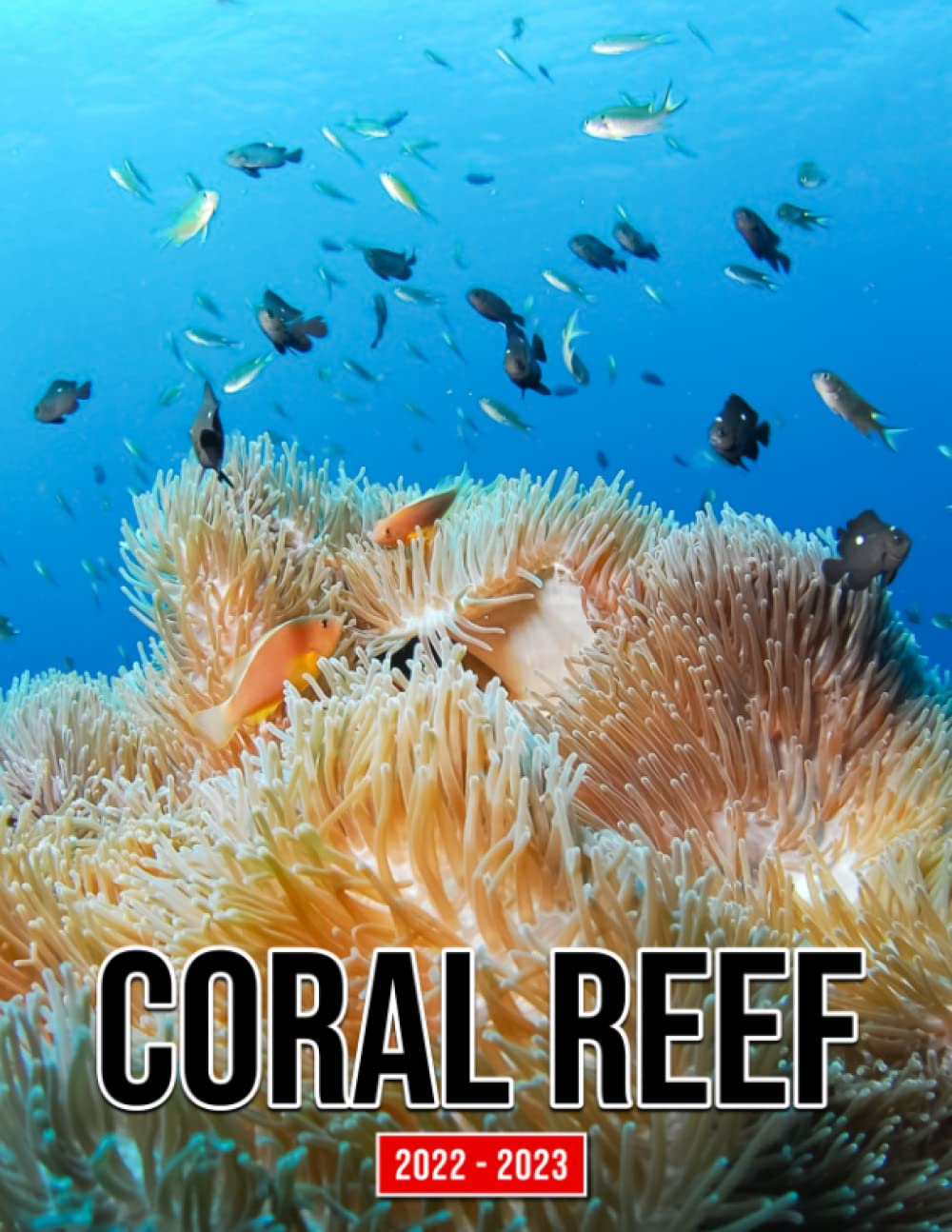 Coral Reef 2022 Calendar: Magnificent Ocean Animals Gift Idea Present ...