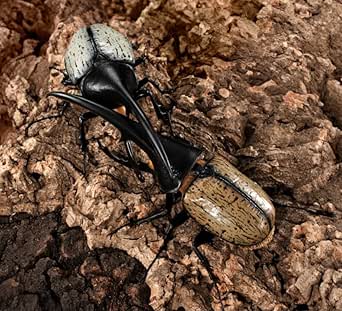 Amazon.co.jp: Ikimono Encyclopedia 07 Hercules Beetle Hercules Hercules ...