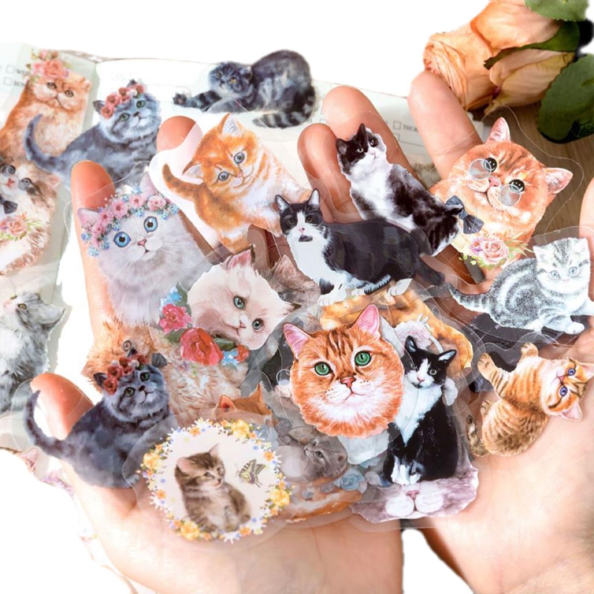 Amazon.com: 200pcs Cat Stickers, Lifany Cute Cat Waterproof Stickers ...