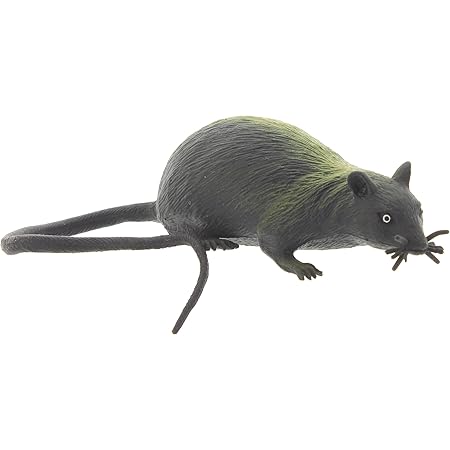 Amazon.com: FANCYTHAT and SCIFI PLANET 13cm Rubber Stretchy Rat with ...