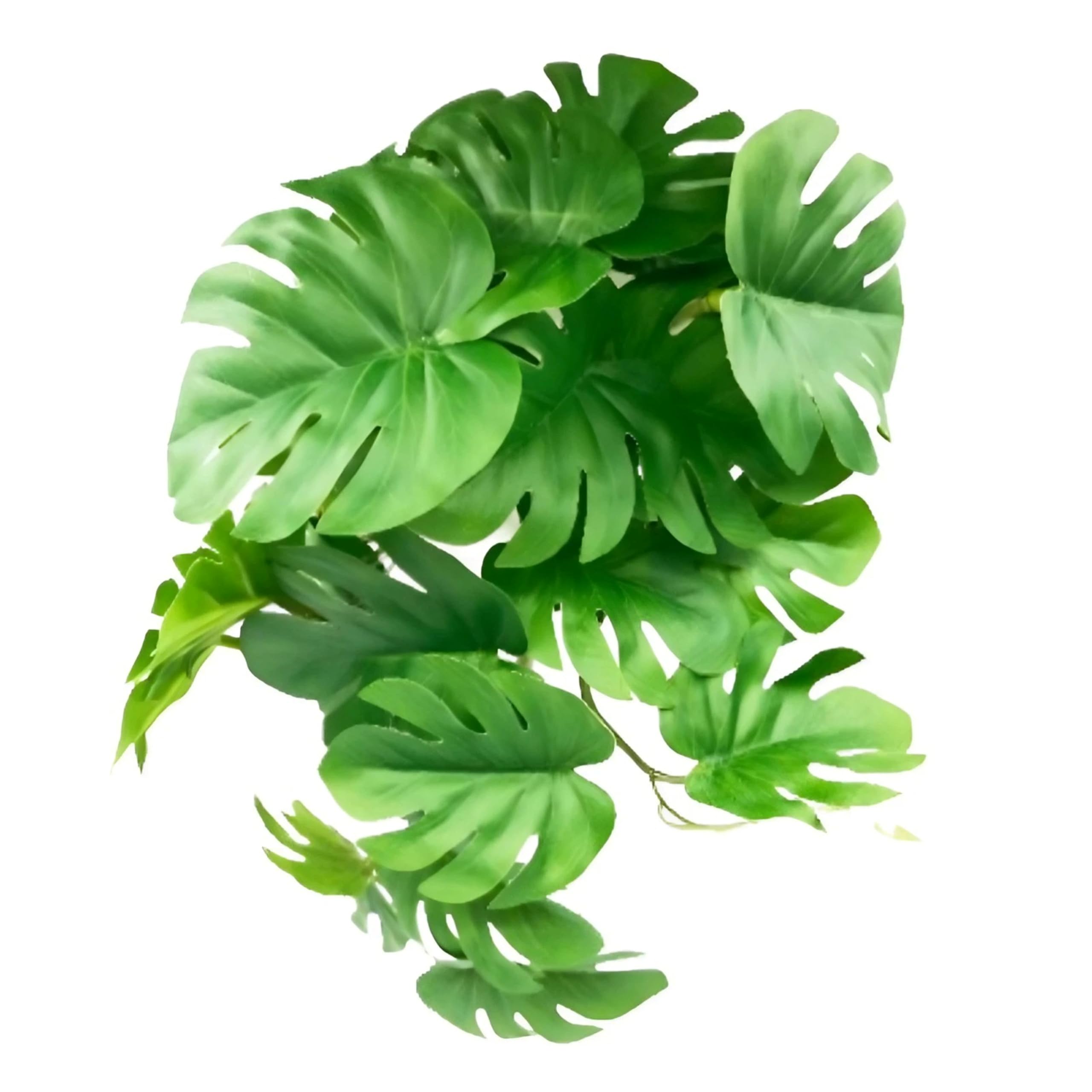 Amazon | East Leaf 人工植物 爬虫類 ケージ 水槽 テラリウム ビバリウム 両生類 カメ カエル トカゲ 吸盤付き ...