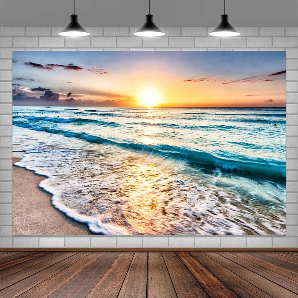 Amazon.com : Summer Beach Ocean Backdrop, Seaside Sunset Photo Backdrop ...