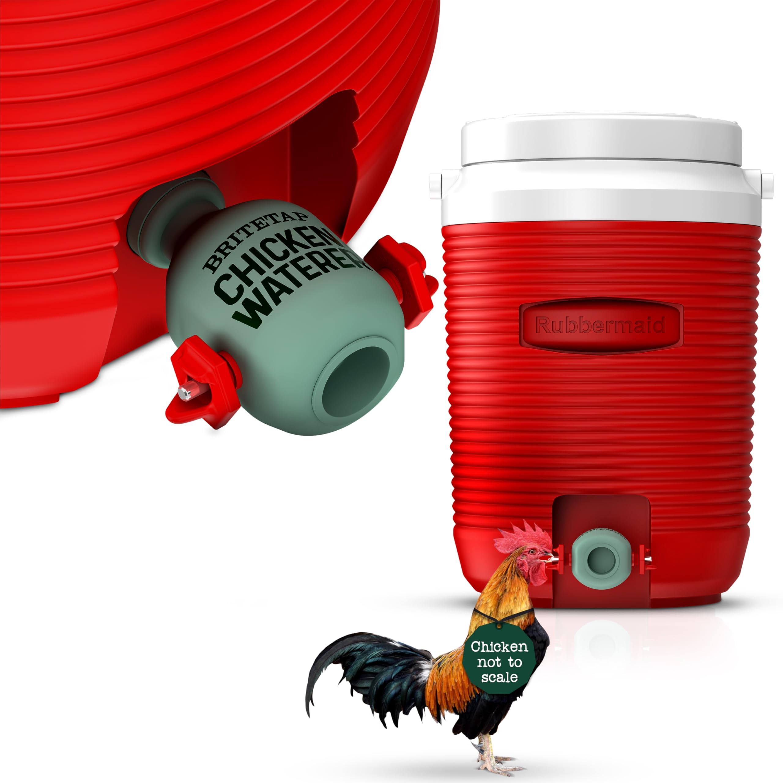 Amazon.com : Chicken Waterer - Automatic Poultry Waterer Attachment for ...