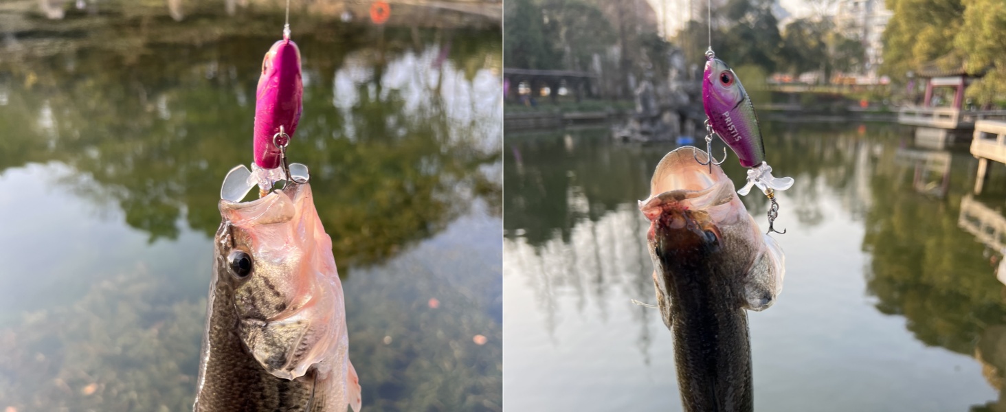 Watch Top water propeller baits_Pristis fishing lure on Amazon Live