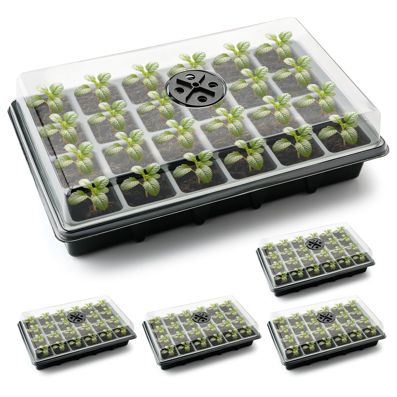Amazon.com : RooTrimmer Seed Starter Tray with Dome-5 Sets 24XL Cell ...