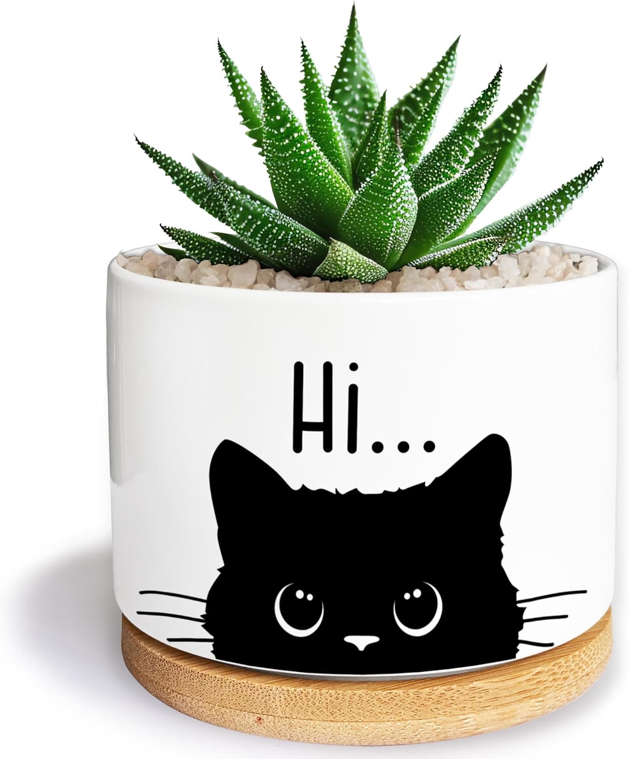 Amazon.com: Kwtzkuo® Black Cat Ceramic Pot with Drainage Hole, Cat ...
