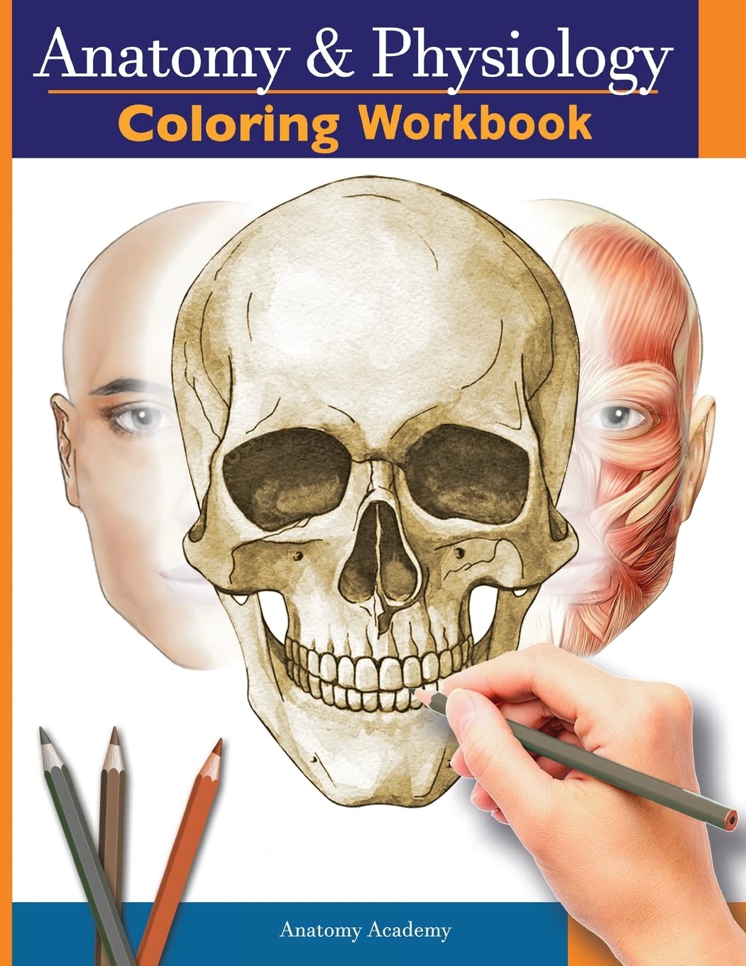 Amazon.com: Anatomy and Physiology Coloring Workbook: The Essential ...