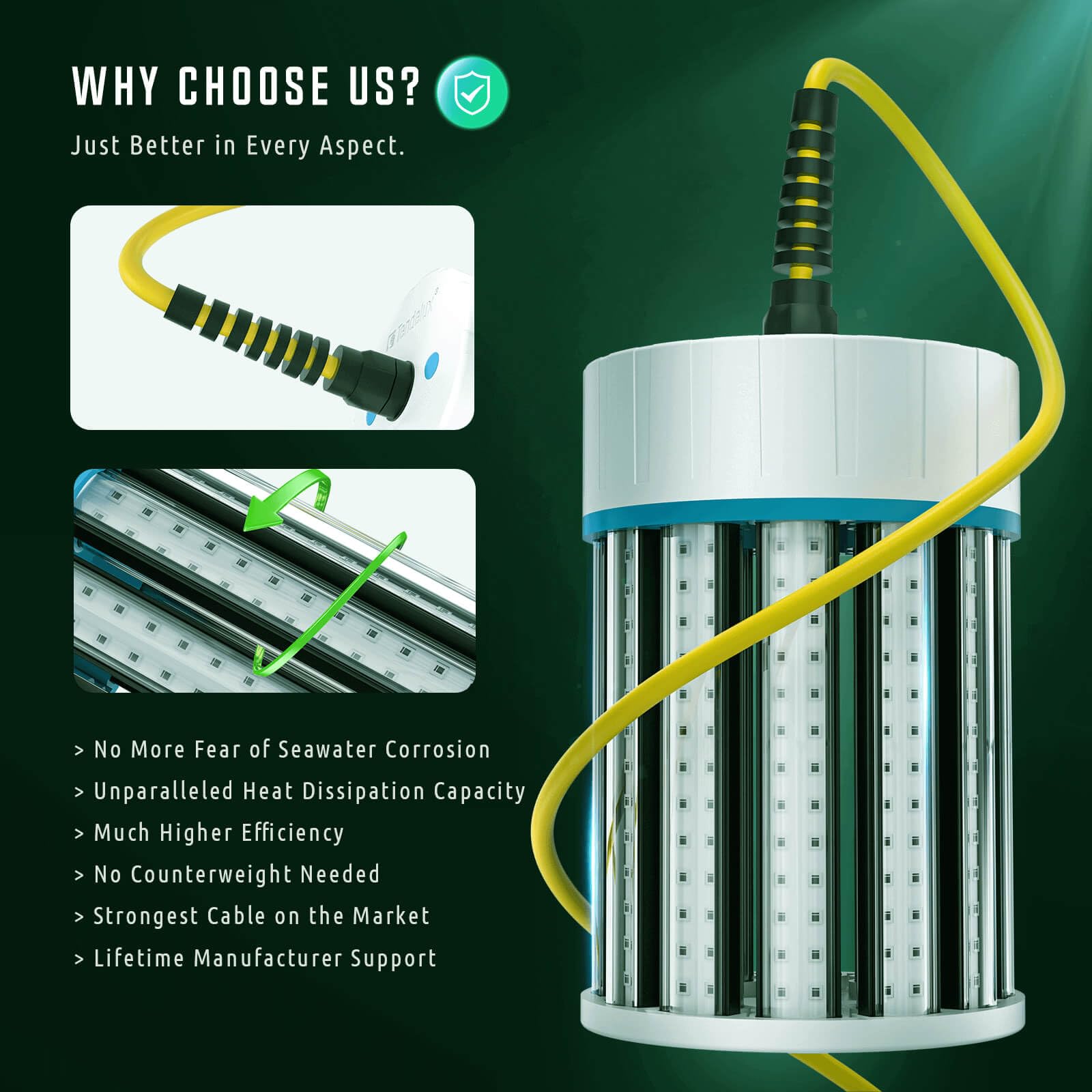 Tendelux Ultra-Bright Underwater Fishing Light, 110V & 12V Green LED ...